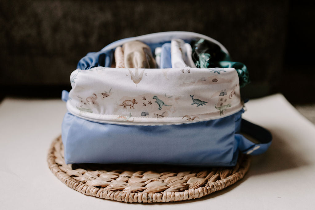 Arctic Blue | Mesozoic Maps Reversible Water Resistant Diaper Pod / Tr ...